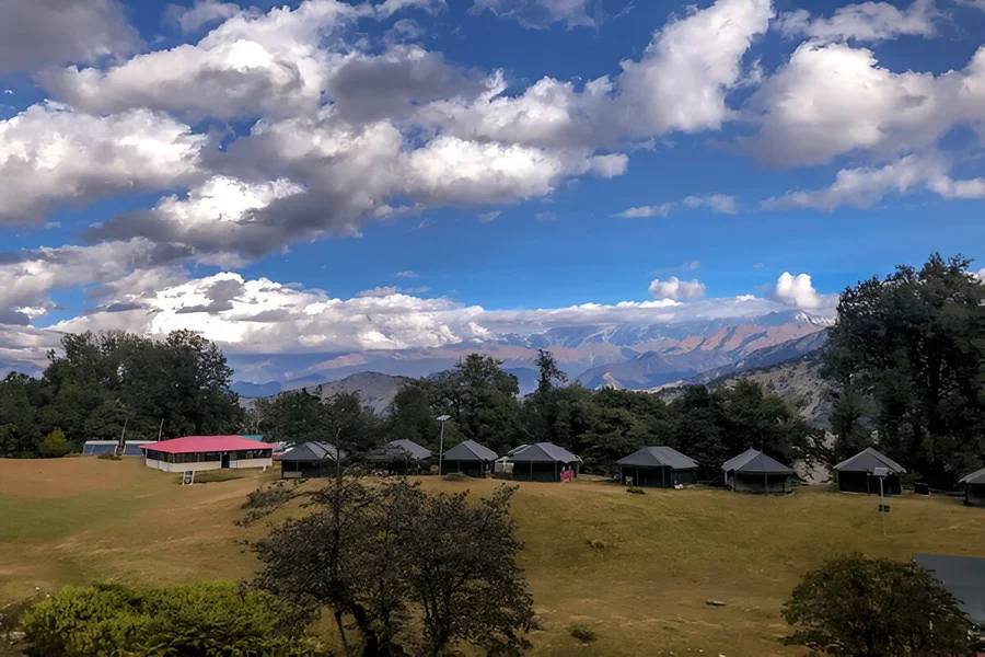 Camping in Chopta: India's Most Magical Night Sky