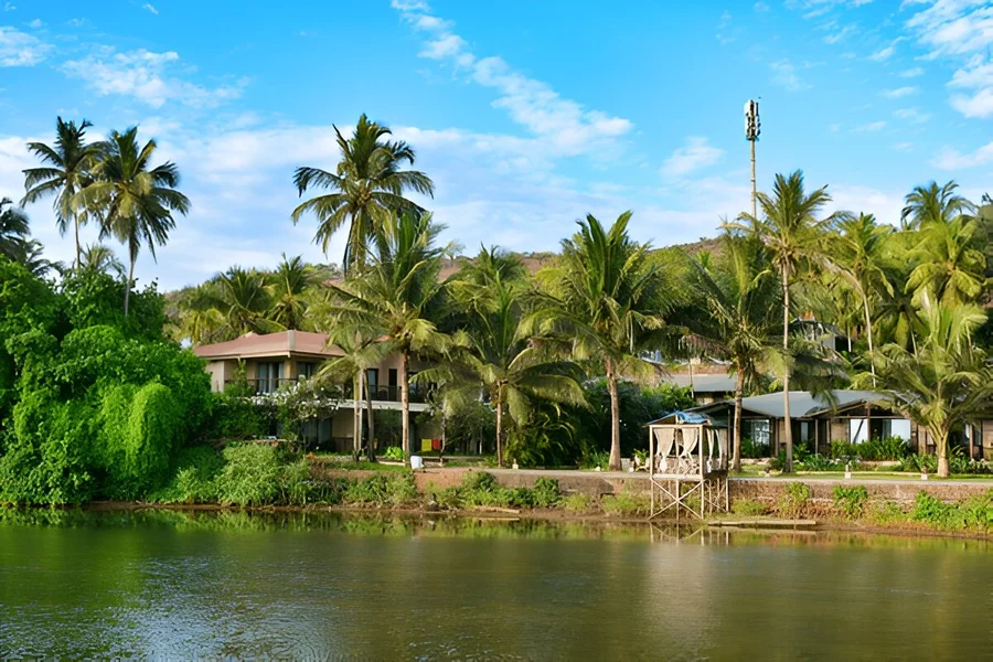 10 Best Resorts in North Goa: Accommodations for Travelers