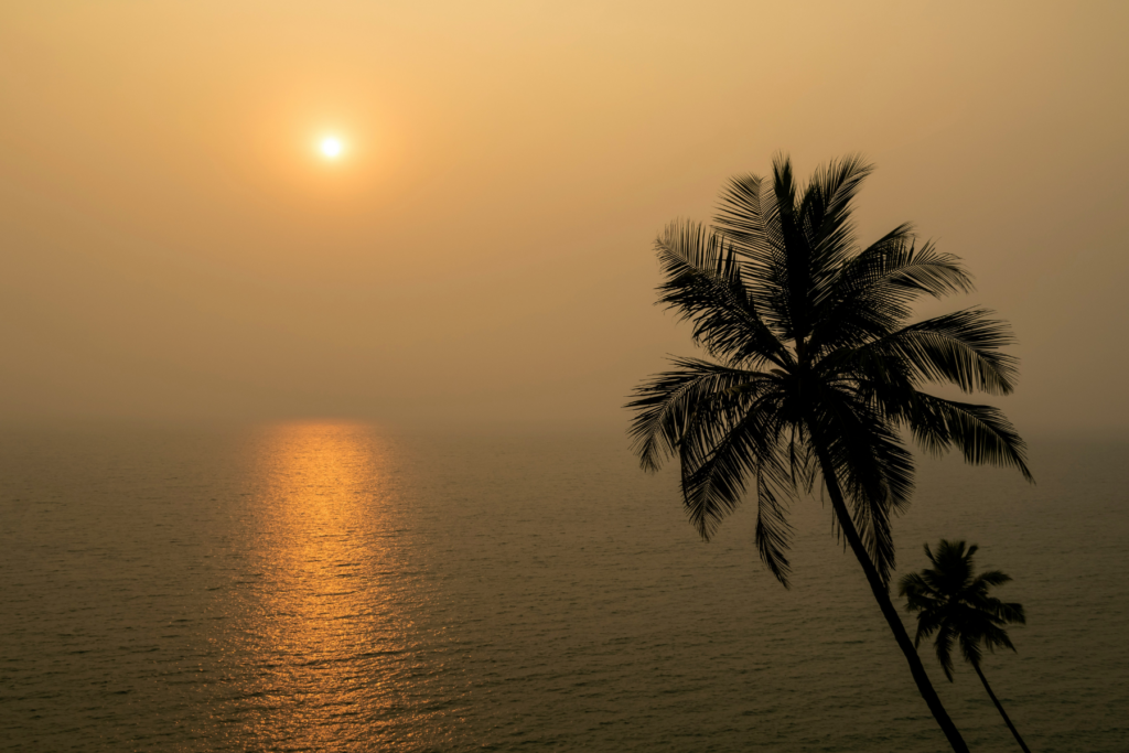 Why Netravati Waterfall Deserves a Spot on Your Goa Trip