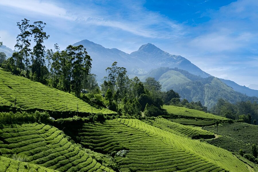 Things to Do in South India | Epic Experiences You Can’t Mis