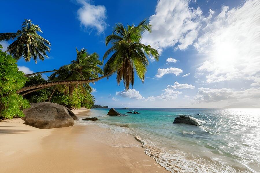 Famous Beaches in Goa – Top 10 Stunning Beaches to Explore